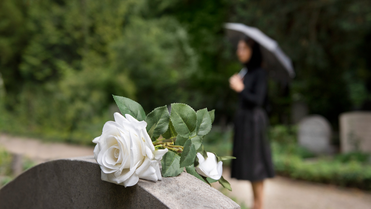 Verlust und Trauer: Umgang mit dem Tod Verlust und Trauer: Umgang mit dem Tod
